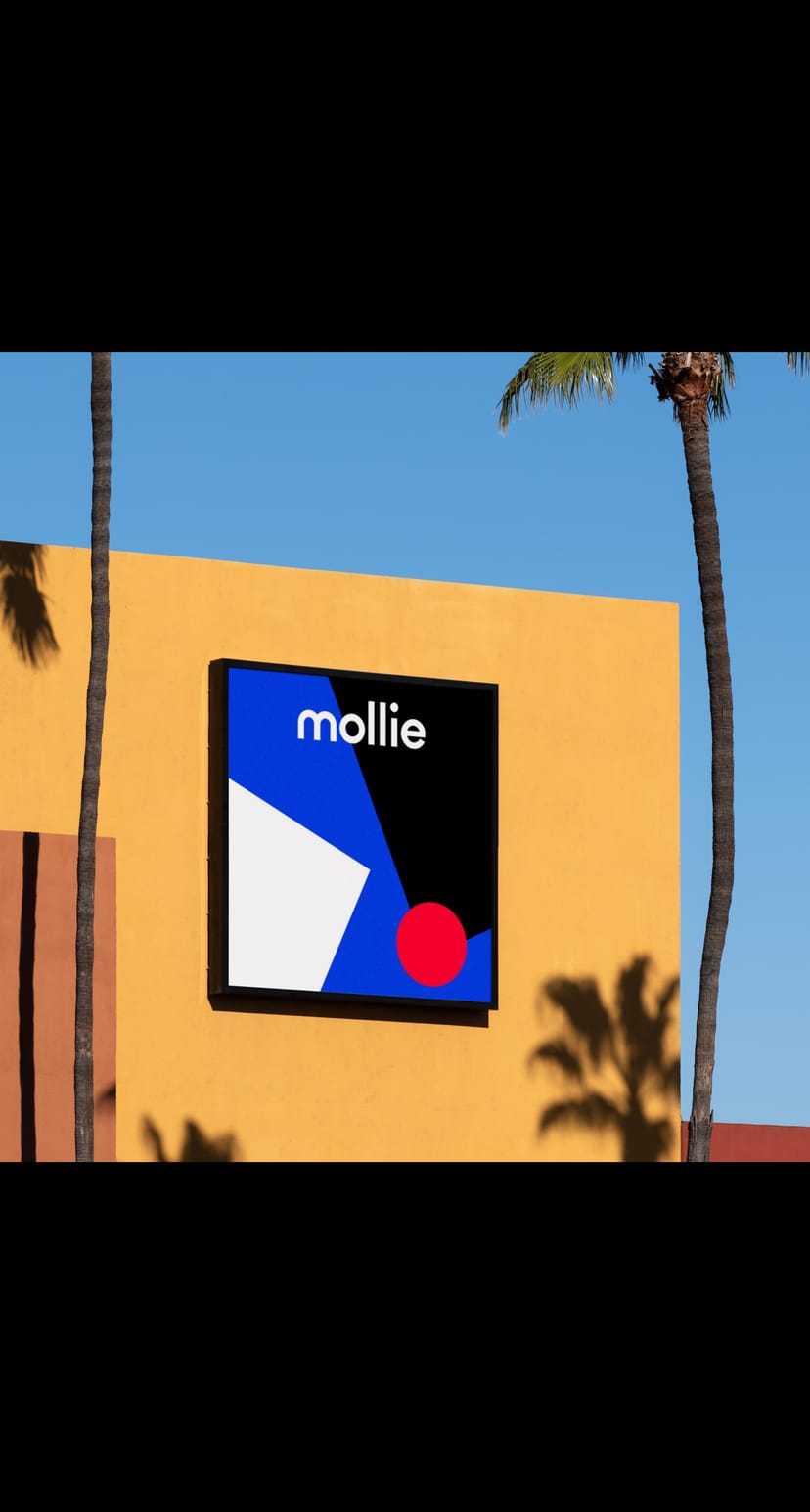 Mollie | Build in Amsterdam